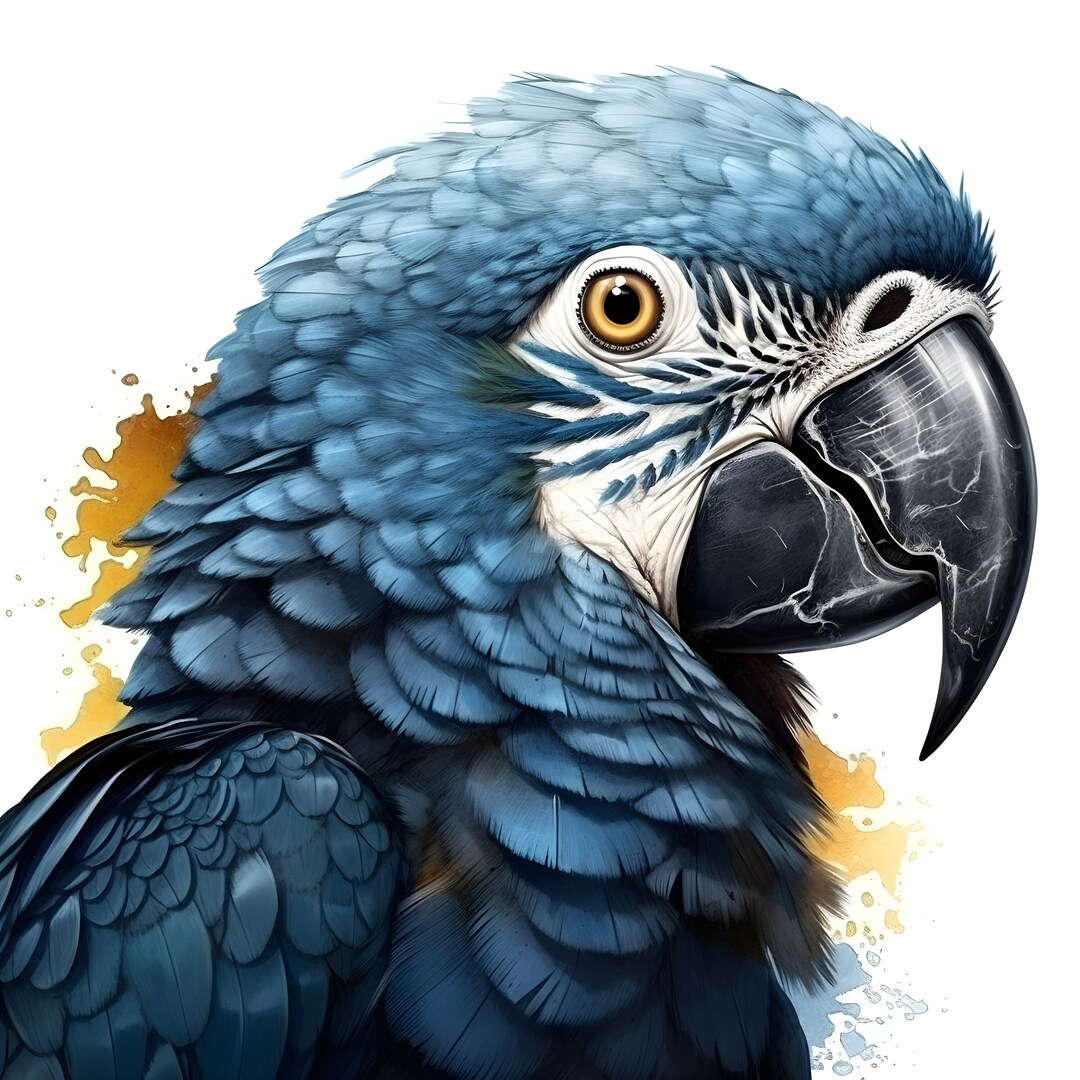 Blue Bird Pack - Etsy