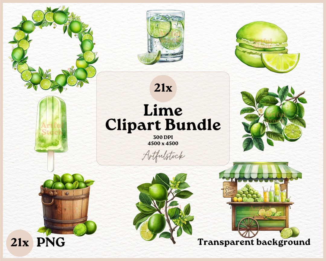 Lime Clipart, Watercolor Lime Clipart, Citrus Fruit Clipart, Limes ...