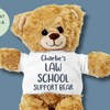 Best Lawyer Ever Teddy Bear, Lawyer Teddy Bear, Customized Teddy Bear ...