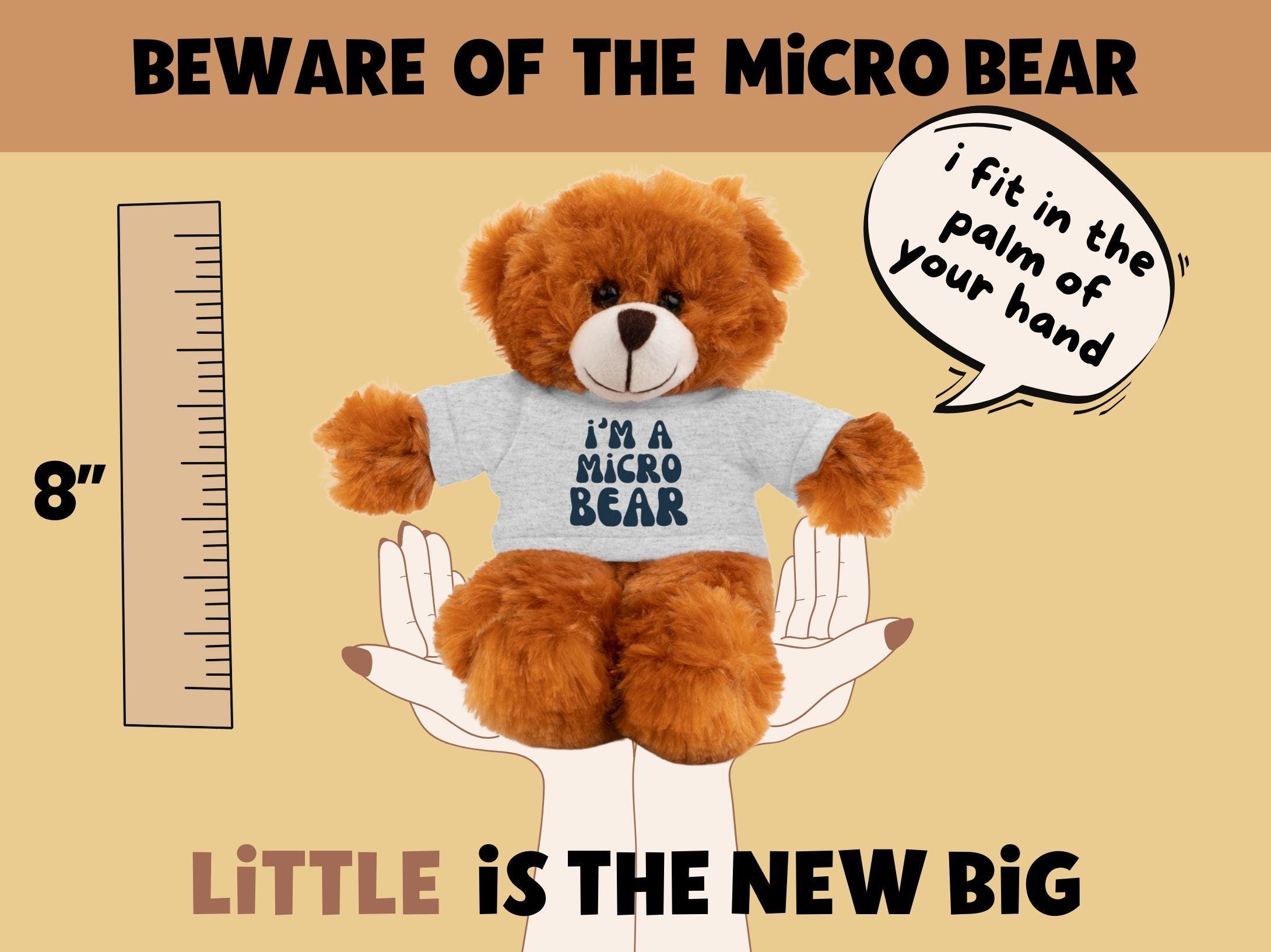 PERSONALIZED MATH DEGREE Teddy Bear Plushie, Custom Future ...