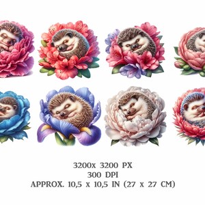 15 Watercolor Hedgehogs in Flowers Pack, Cute Floral Hedgehog PNG Clip ...