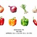 25 Watercolor Garden Vegetables Clipart, Summer Farm Veggie PNG Digital ...