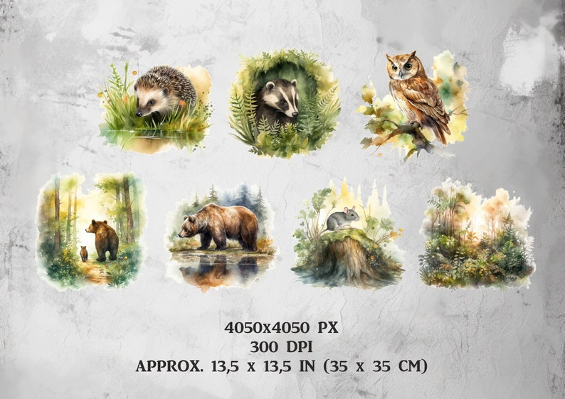 20 Forest Animals Clipart Watercolor Woodland Animals PNG - Etsy