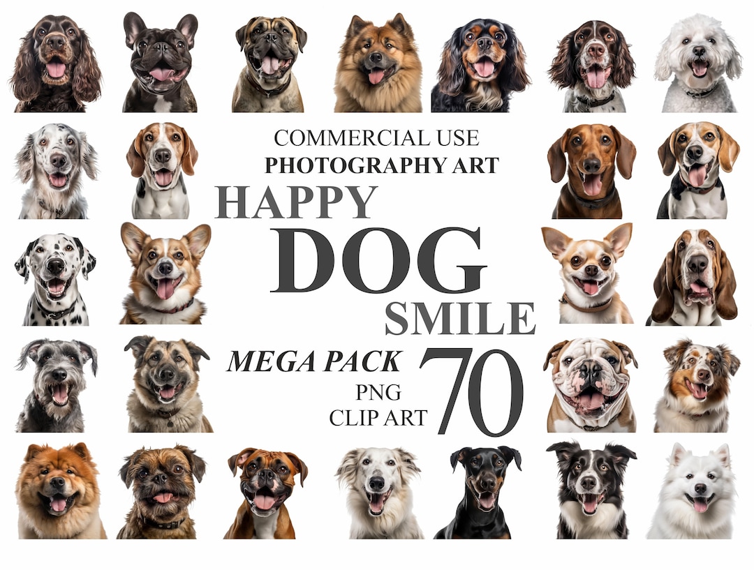 70 Happy Smile Dogs MEGAPACK, Pet Photography Art PNG Digital Clip Art ...