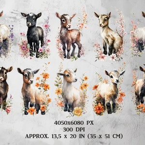 30 Little Goats With Flowers Clipart, Watercolor Cute Goatling PNG ...