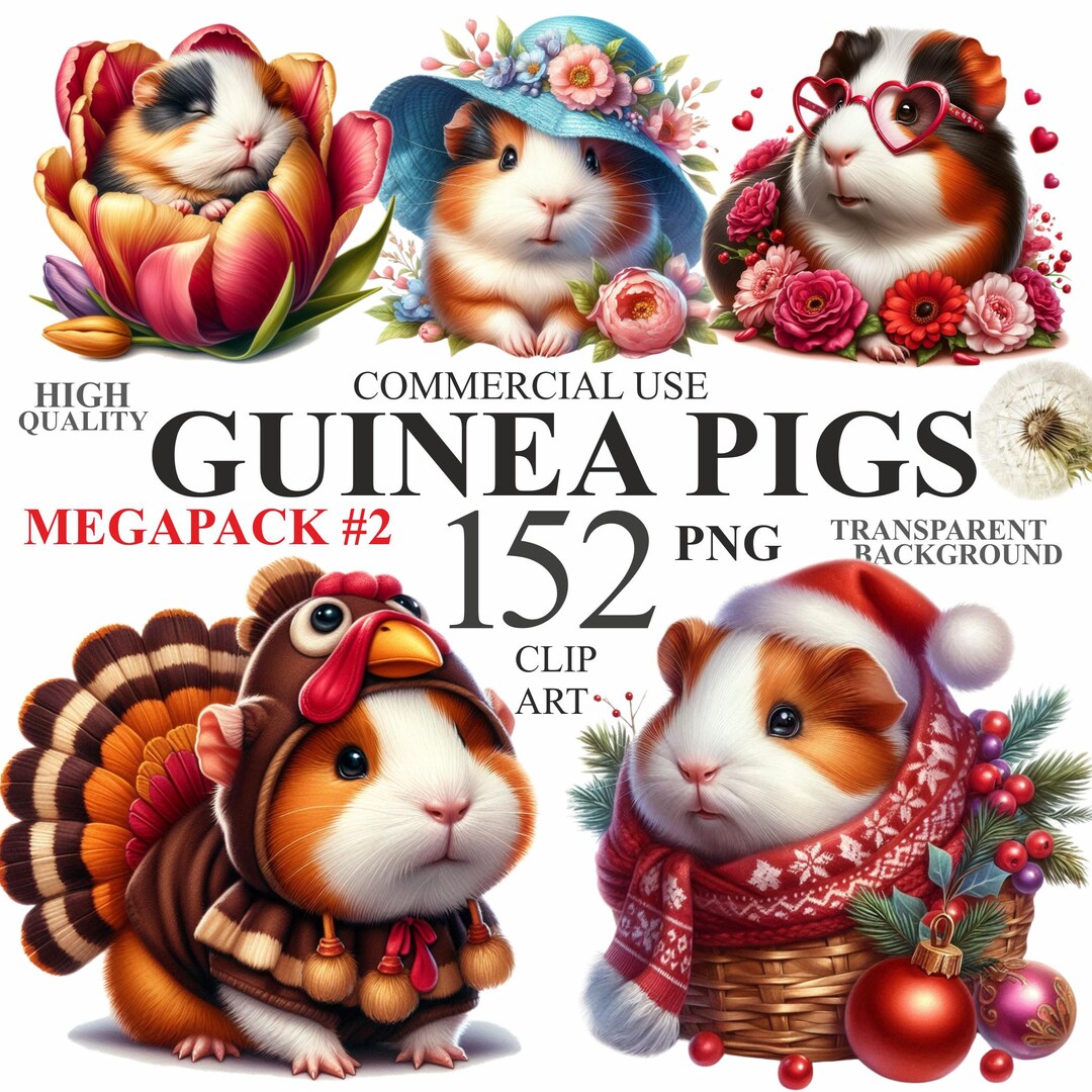152 Megapack Guinea Pigs in Flowers, Spring, Haloween Pack, Watercolor ...