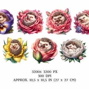 15 Watercolor Hedgehogs in Flowers Pack, Cute Floral Hedgehog PNG Clip ...