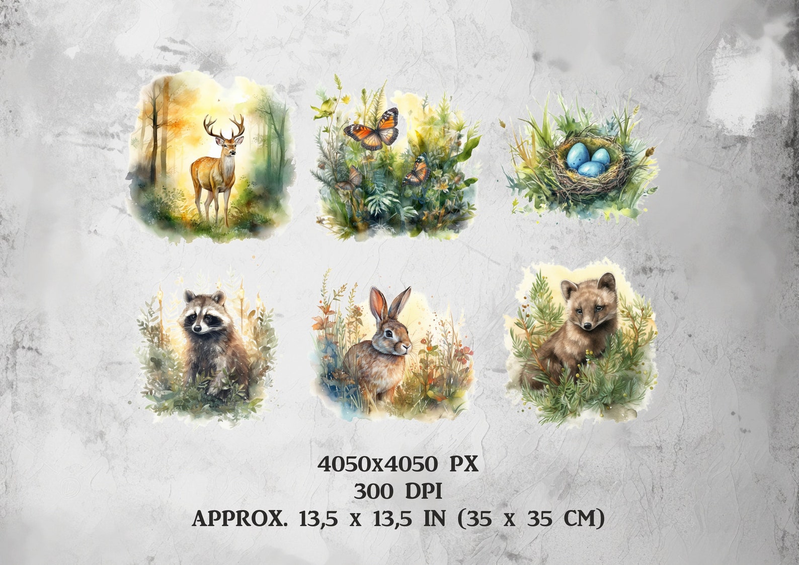 20 Forest Animals Clipart Watercolor Woodland Animals PNG - Etsy