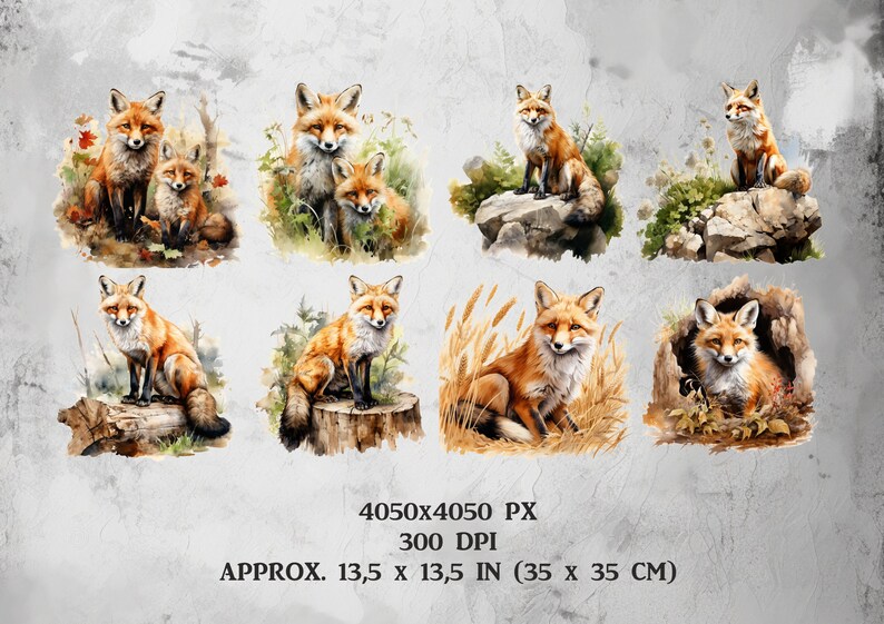 25 Foxes in Forest Clipart Watercolor Woodland Animals PNG - Etsy