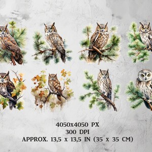 20 Owls Wildlife Clipart, Watercolor Woodland Animals PNG Digital Clip ...