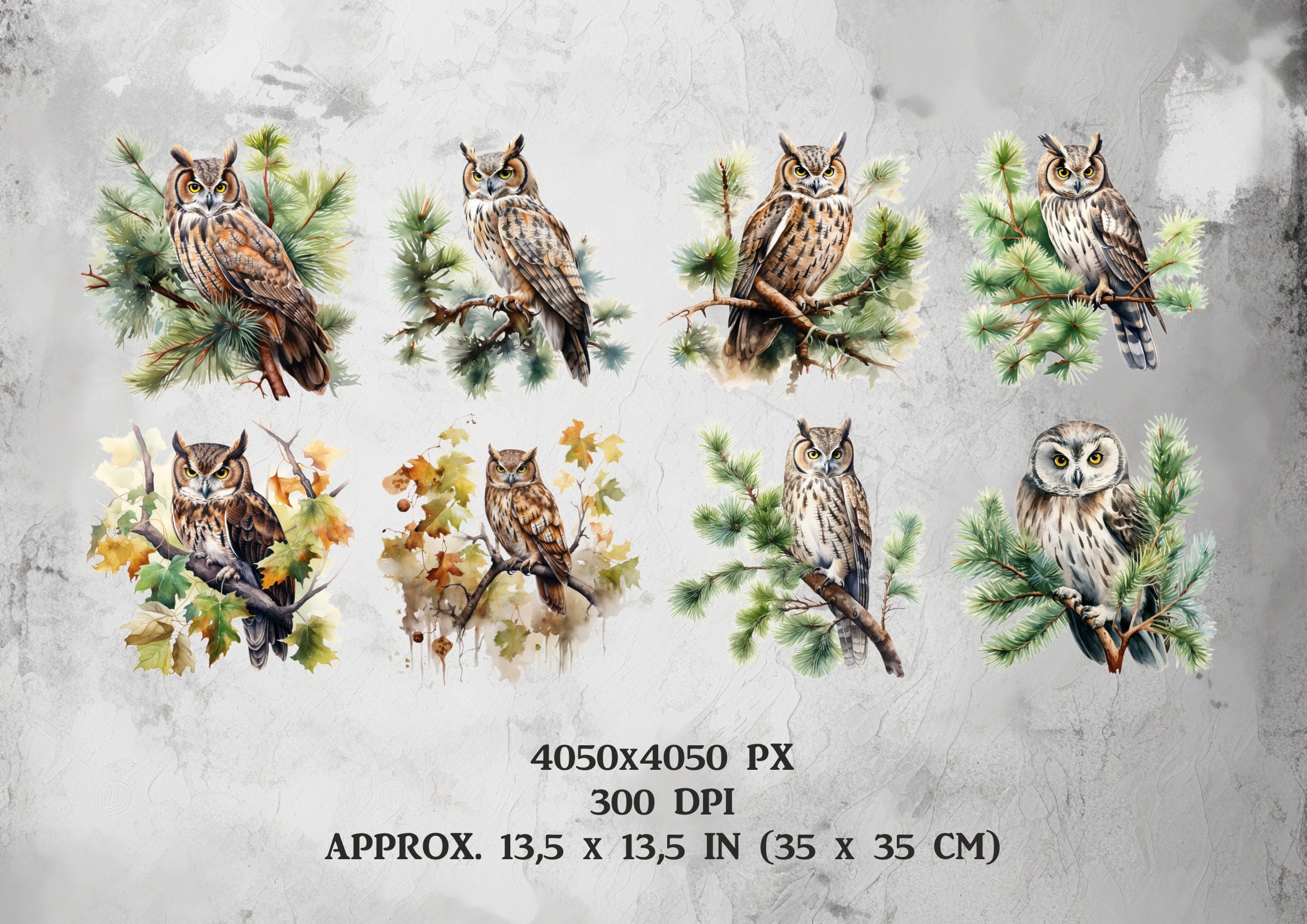 20 Owls Wildlife Clipart, Watercolor Woodland Animals PNG Digital Clip ...