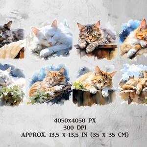25 Sleeping Cats Clipart, Watercolor Cute Kittens PNG Digital Clip Art ...