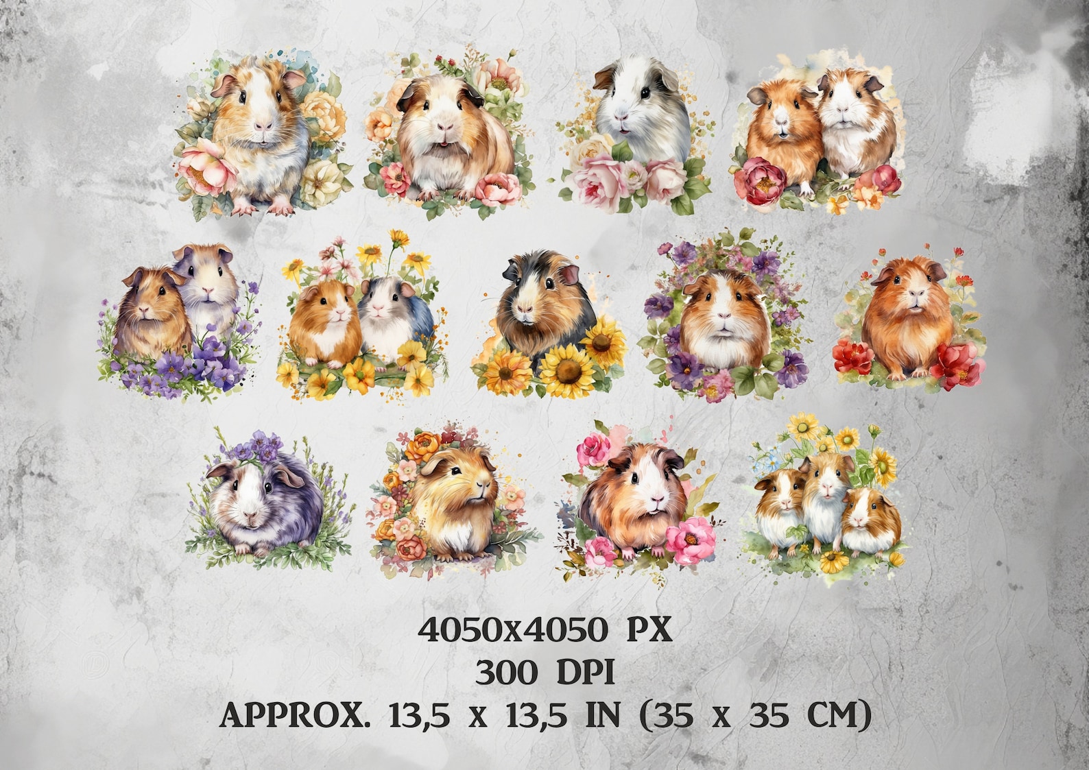 146 Megapack Guinea Pigs With Flowers Family Guinea Pig Pack ...