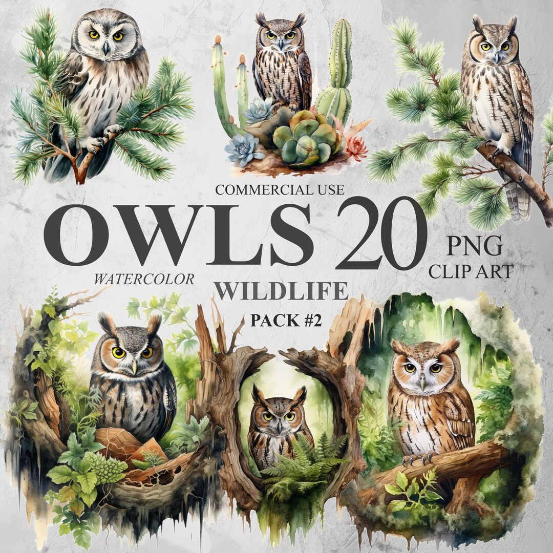 20 Owls Wildlife Clipart, Watercolor Woodland Animals PNG Digital Clip ...