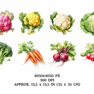 25 Watercolor Garden Vegetables Clipart, Summer Farm Veggie PNG Digital ...
