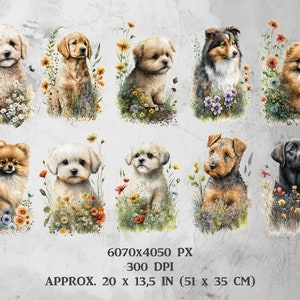 40 Cute Puppies and Flowers Clipart, Watercolor Little Dogs PNG Digital ...