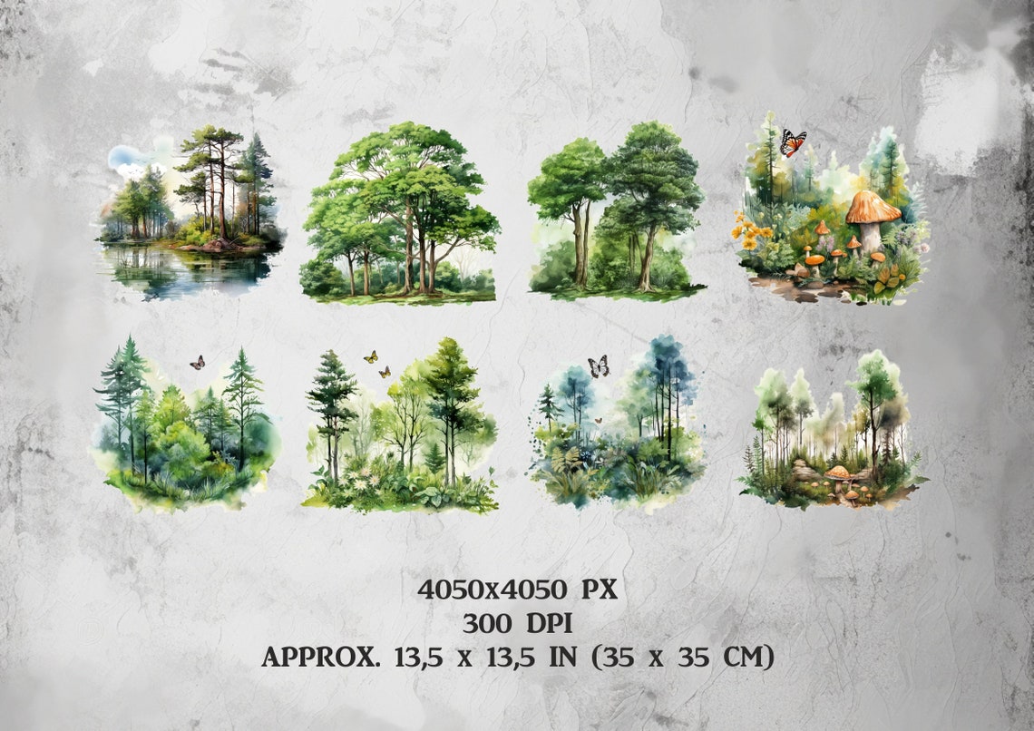 30 Forest Scenery Clipart, Watercolor Woodland Trees PNG Digital Clip ...