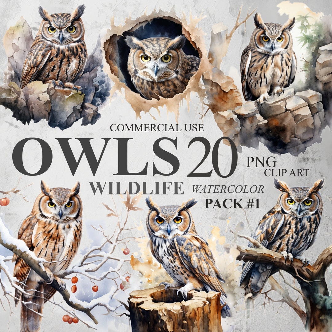 20 Owls Wildlife Clipart, Watercolor Woodland Animals PNG Digital Clip ...
