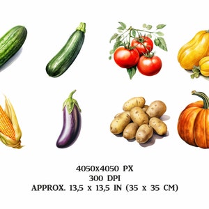 25 Watercolor Garden Vegetables Clipart, Summer Farm Veggie PNG Digital ...