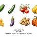 25 Watercolor Garden Vegetables Clipart, Summer Farm Veggie PNG Digital ...