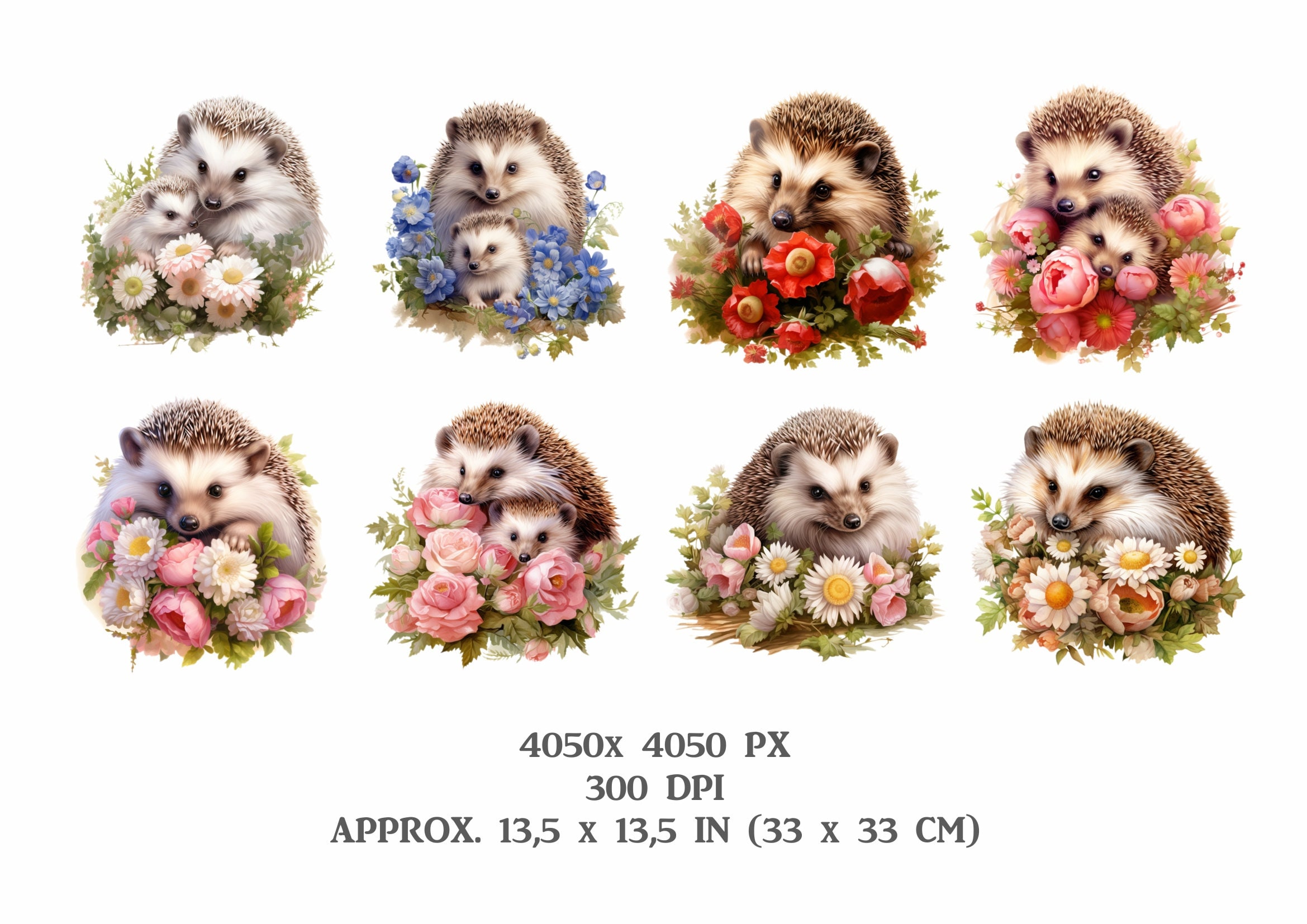 20 Spring Hedgehogs With Flowers Pack, Watercolor Cute Animals PNG Art ...
