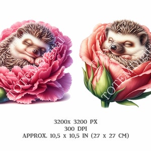 15 Watercolor Hedgehogs in Flowers Pack, Cute Floral Hedgehog PNG Clip ...