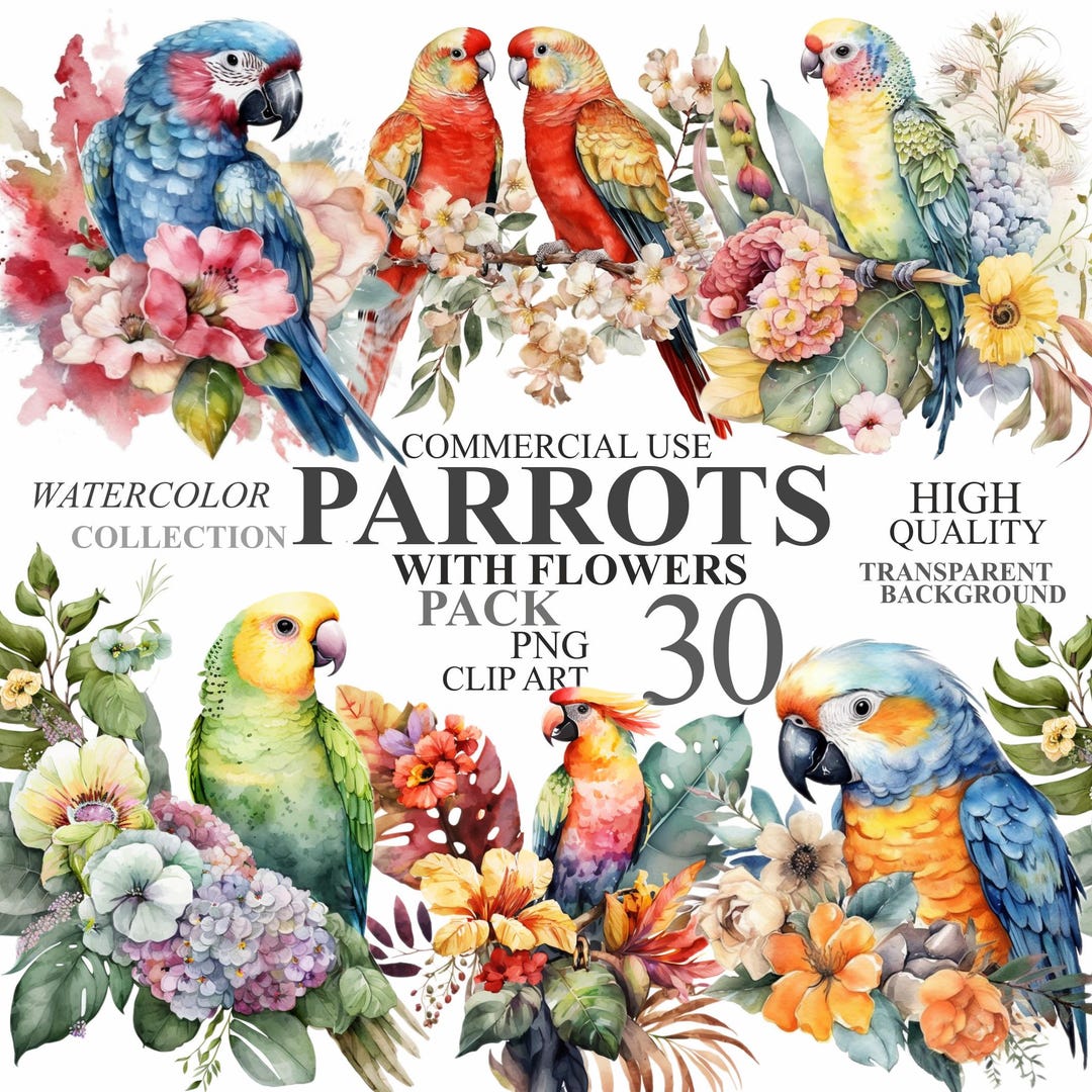 30 Parrots With Flowers Pack, 30 Watercolor Birds PNG Digital Clip Art ...