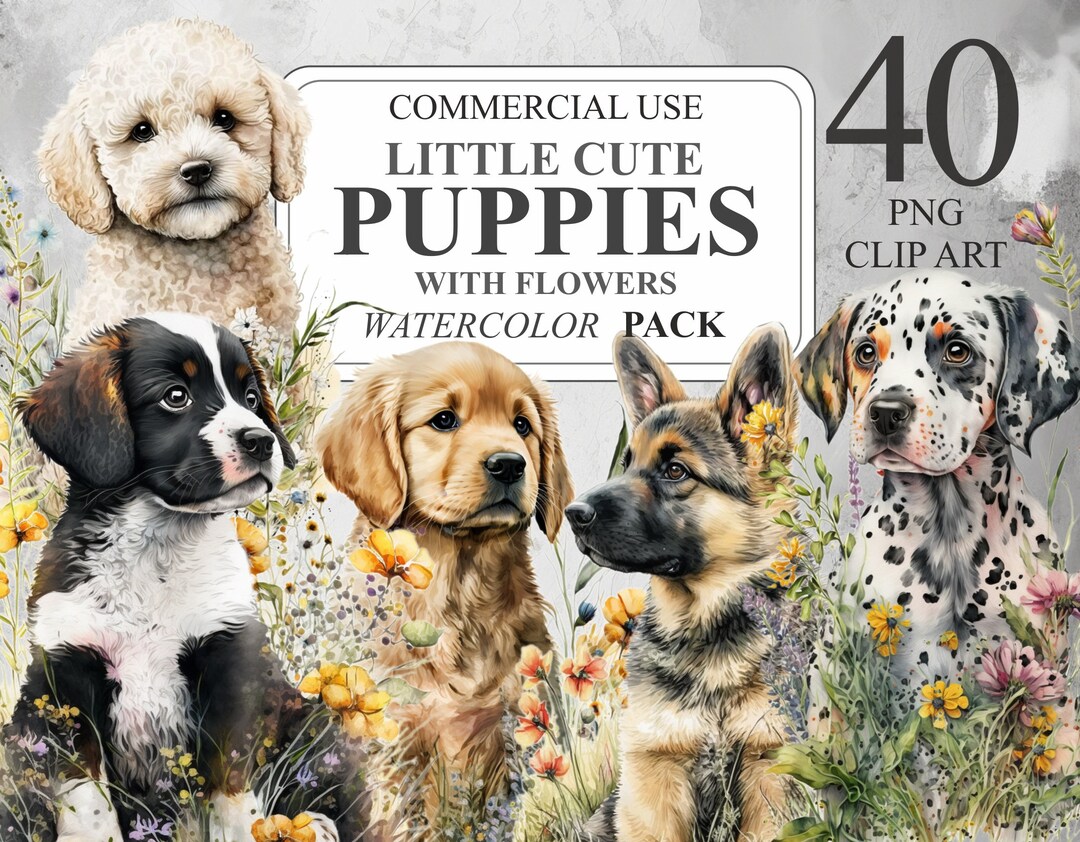 40 Cute Puppies and Flowers Clipart, Watercolor Little Dogs PNG Digital ...