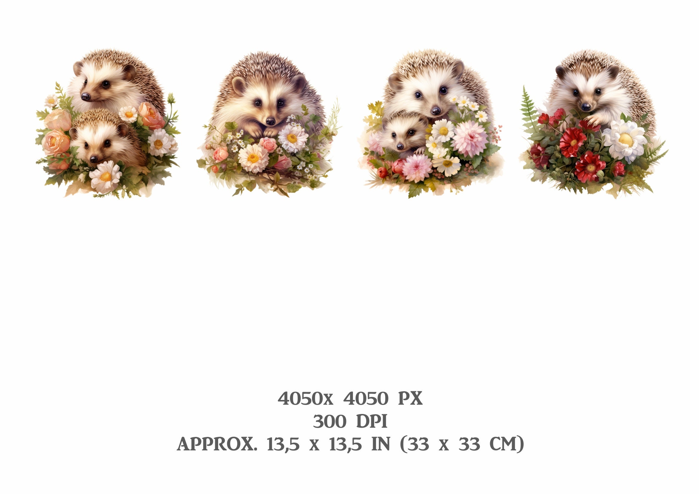 20 Spring Hedgehogs With Flowers Pack, Watercolor Cute Animals PNG Art ...