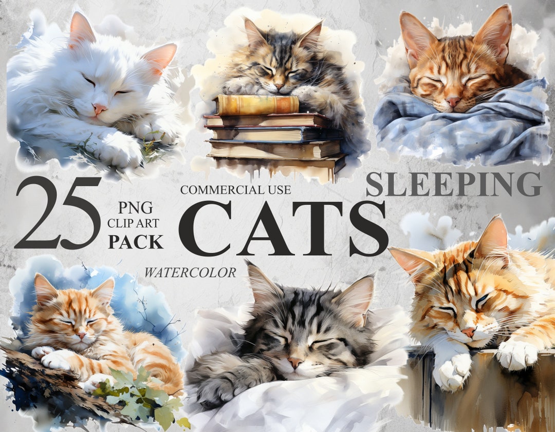25 Sleeping Cats Clipart, Watercolor Cute Kittens PNG Digital Clip Art ...