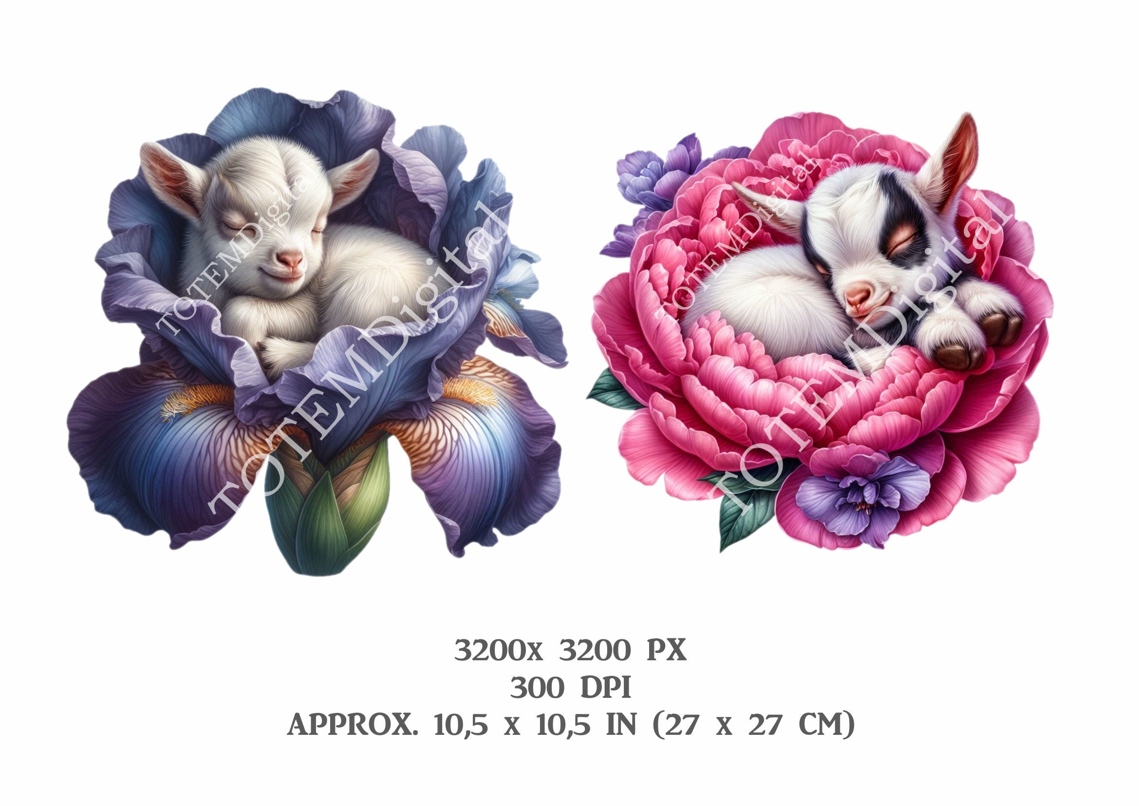 15 Watercolor Goats in Flowers Pack, Cute Floral Kid Goatling PNG Clip ...