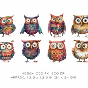 22 Whimsical Owls Clipart, Watercolor Funny Graphics PNG Digital Clip ...