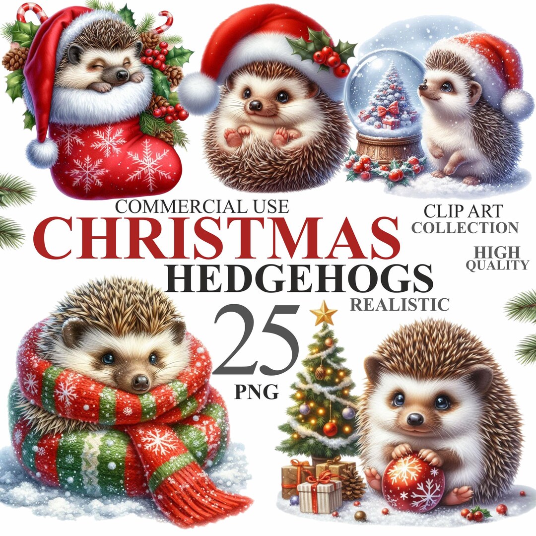 25 Christmas Hedgehogs Pack, Realistic Cute Animals PNG Art, Watercolor ...