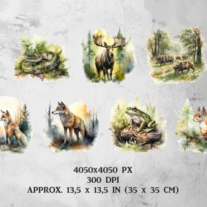 20 Forest Animals Clipart, Watercolor Woodland Animals PNG Digital Clip ...
