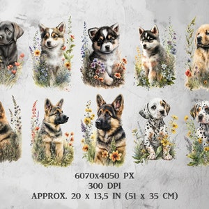 40 Cute Puppies and Flowers Clipart, Watercolor Little Dogs PNG Digital ...