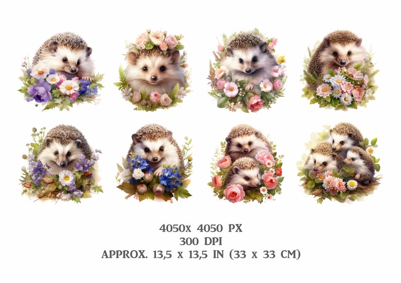 20 Spring Hedgehogs With Flowers Pack, Watercolor Cute Animals PNG Art ...