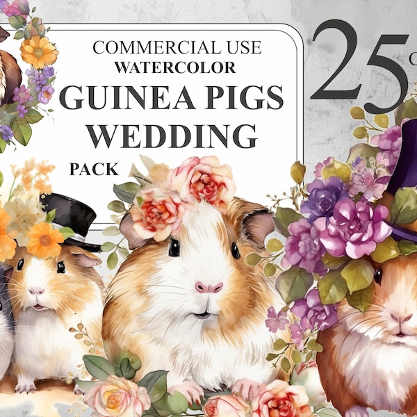 Guinea Pig Art - Etsy