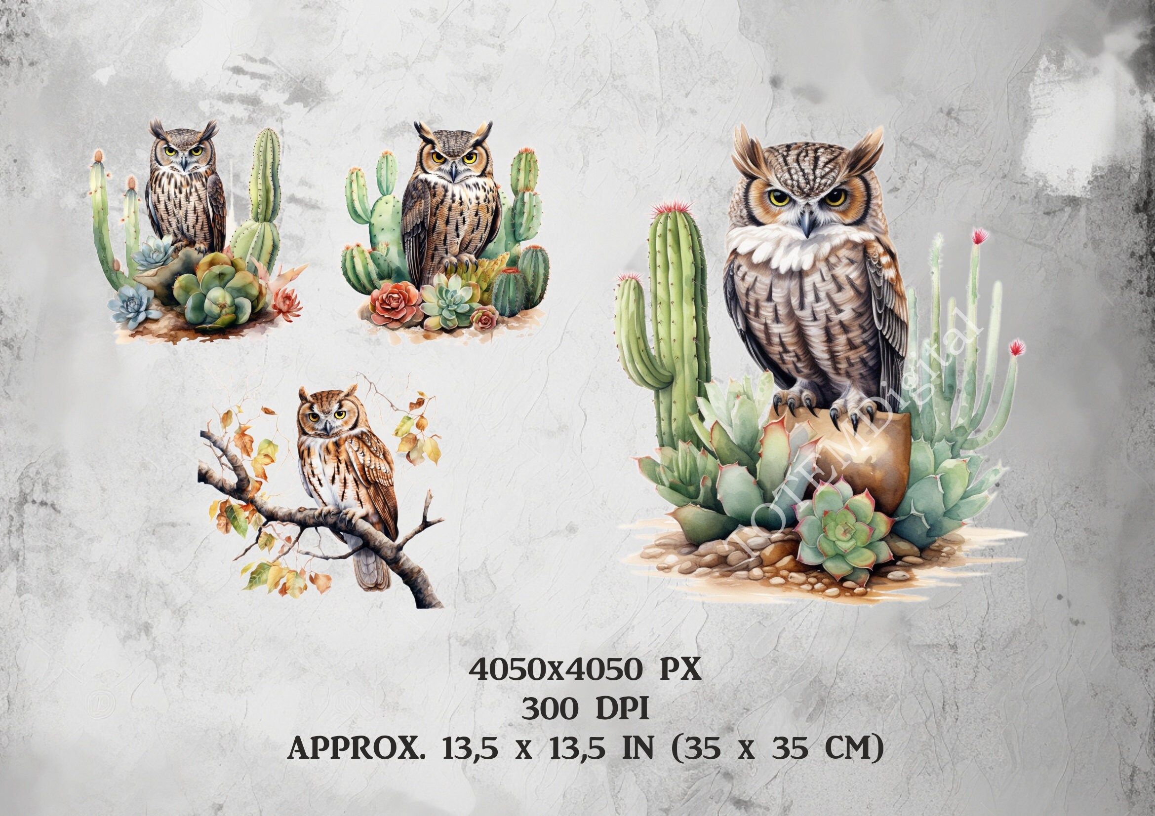 20 Owls Wildlife Clipart Watercolor Woodland Animals PNG - Etsy