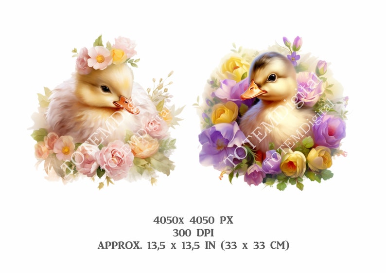 20 Spring Ducks With Flowers Pack, Watercolor Cute Animals PNG Art ...