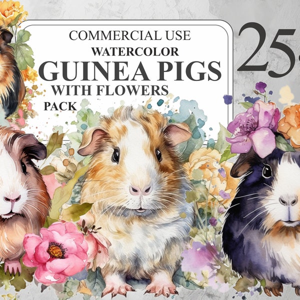 Guinea Pig Art - Etsy