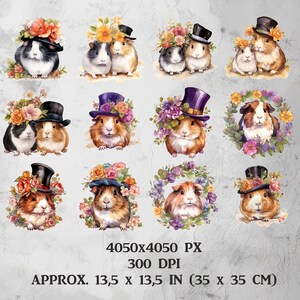 146 Megapack Guinea Pigs With Flowers Family Guinea Pig Pack ...