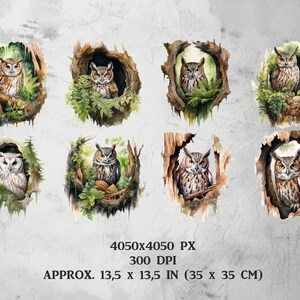 20 Owls Wildlife Clipart, Watercolor Woodland Animals PNG Digital Clip ...