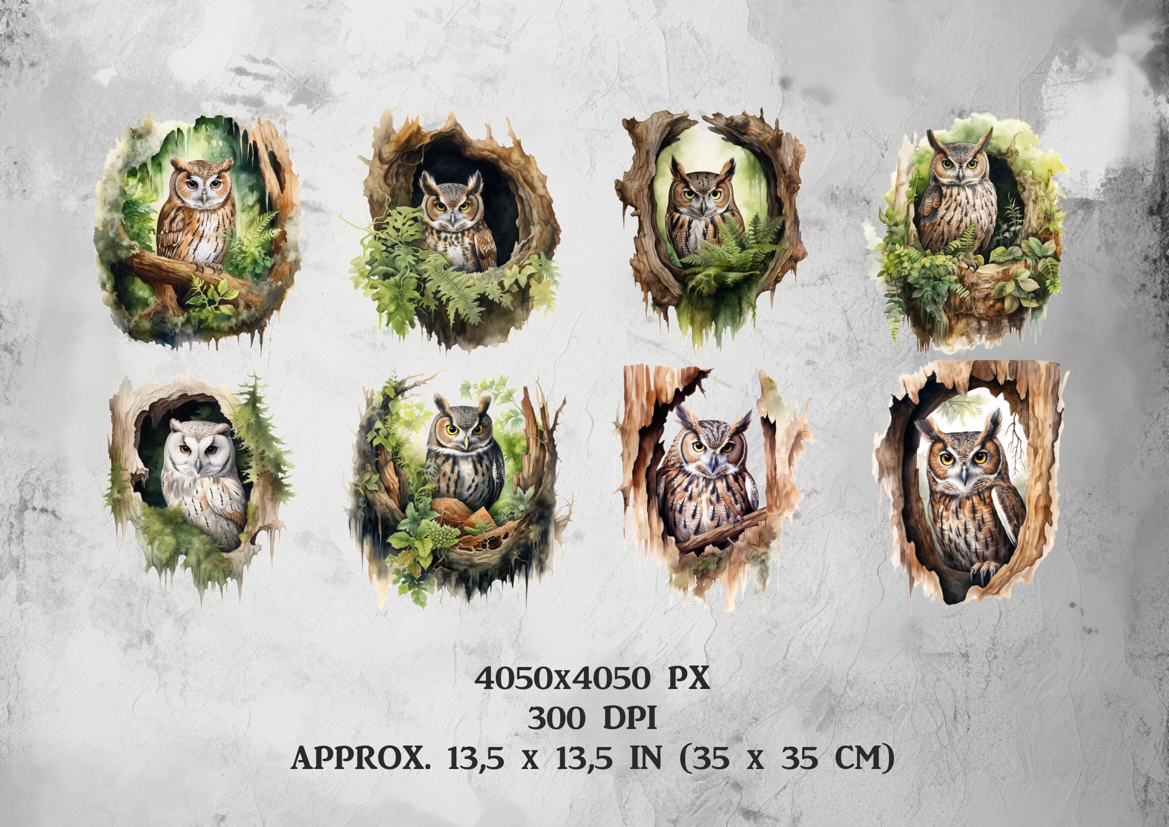 20 Owls Wildlife Clipart, Watercolor Woodland Animals PNG Digital Clip ...