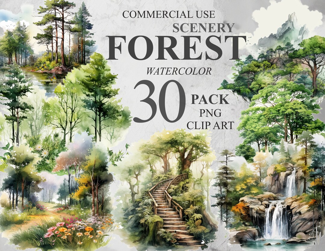 30 Forest Scenery Clipart, Watercolor Woodland Trees PNG Digital Clip ...
