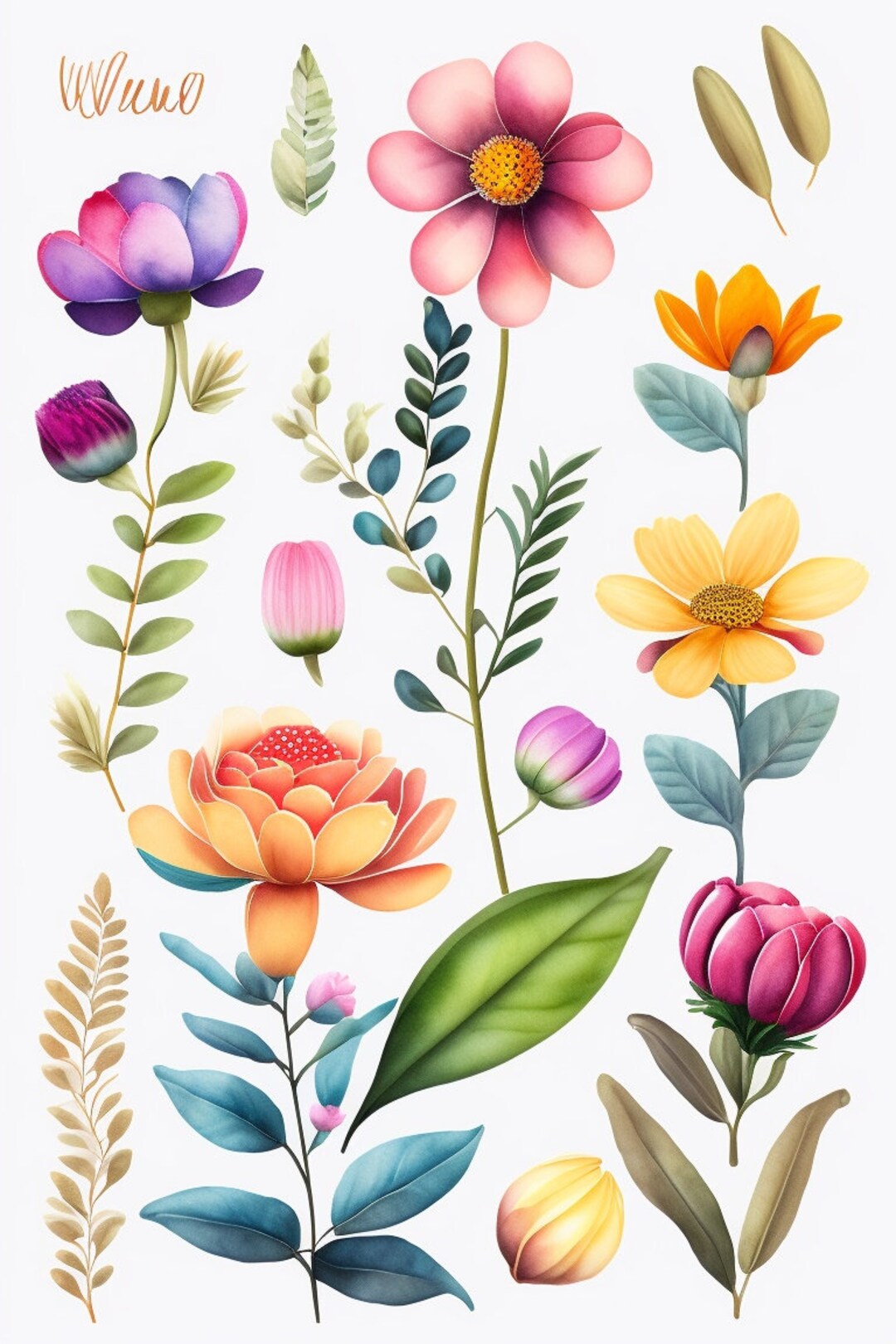 Watercolor, Watercolor Flowers, Watercolor Clipart, Digital Download ...