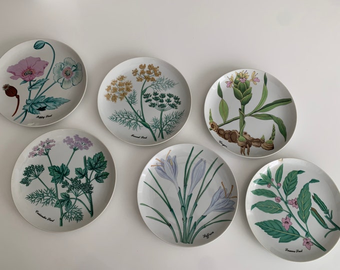 Vintage Horchow Herb Spice Floral Flower Garden Plates. Set of 6 ...