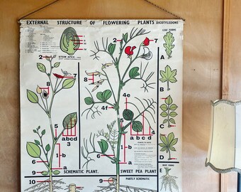 Antique Art Deco Mirror With Decorative Etching and Pie Crust - Etsy