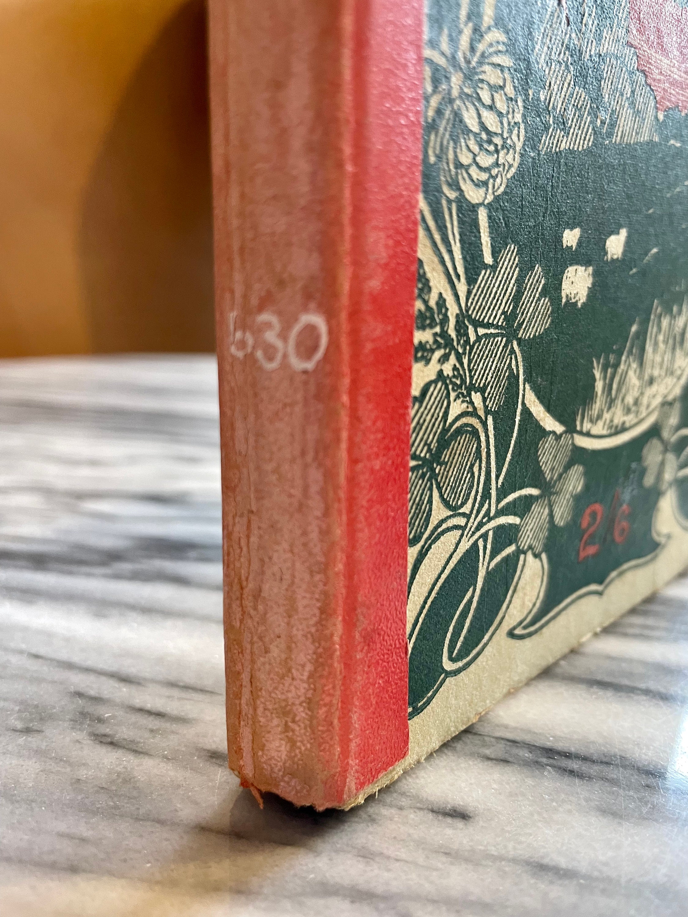 Second Edition 1923 Pasture Plants & Pastures of New Zealand Book - Etsy
