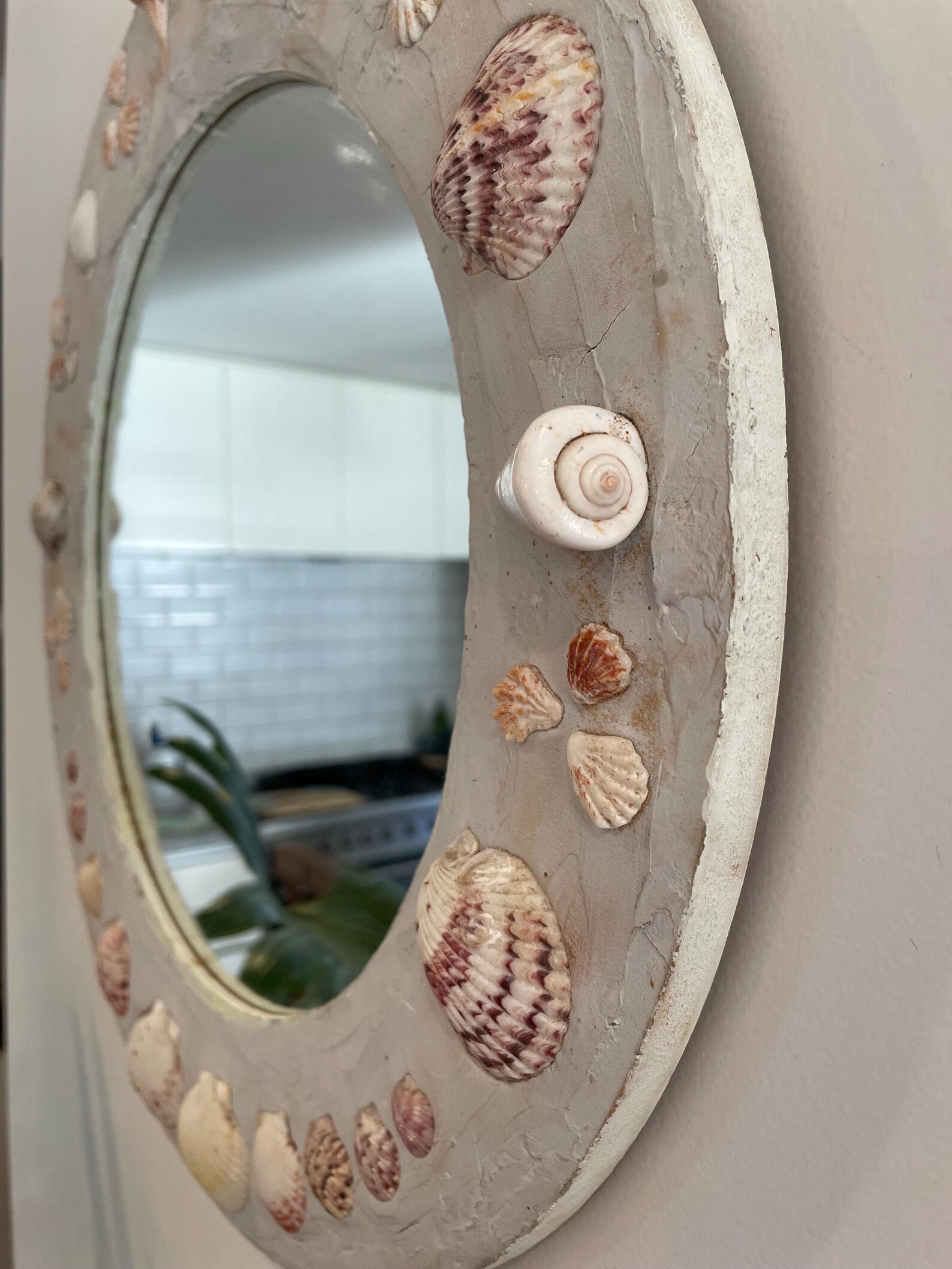 Shell Cottage - Round Seashell Mirror With Gray Plaster - Etsy