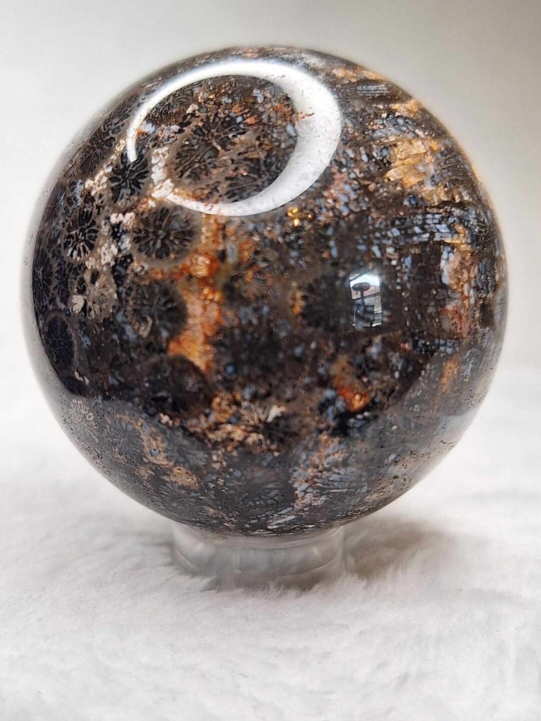 Rare Fossilized Coral Agate Sphere / Agatized Coral Orb - Etsy